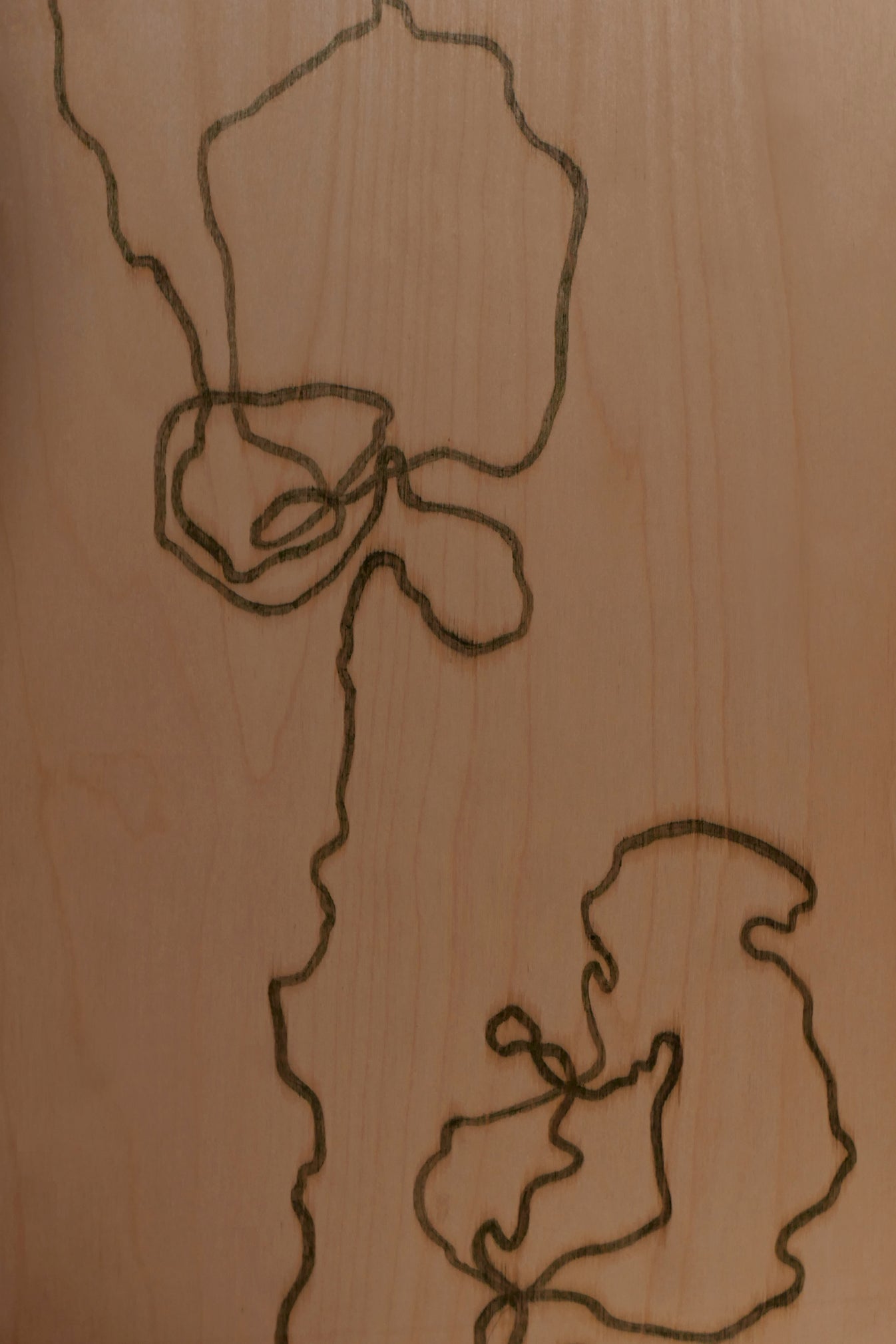 Otto Chair with Snail Trail – House of RoRo